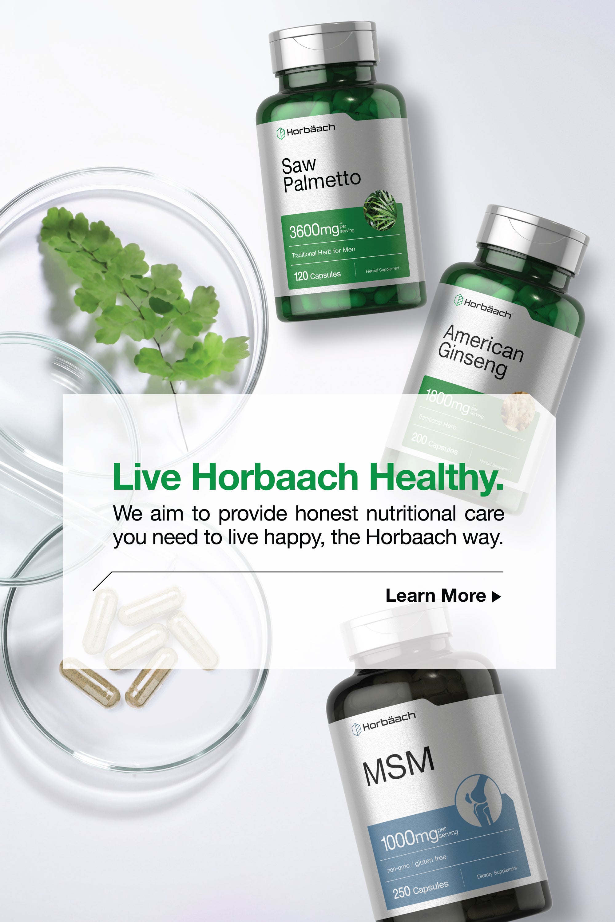 Horbäach Health